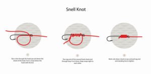 Step-by-Step Guide on How to Tie a Snell Knot